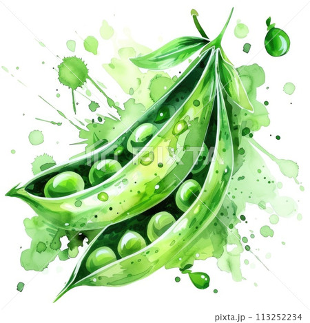 An engaging watercolor of open pea pods with...のイラスト素材 [113252234] - PIXTA