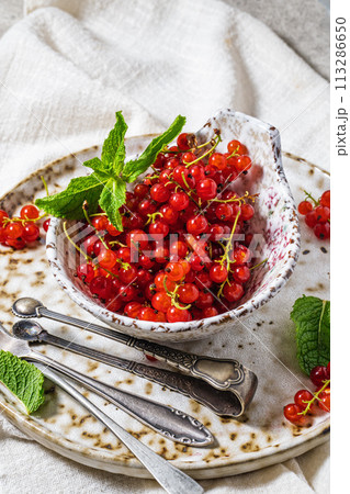 Red currant with mint in a bowlの写真素材 [113286650] - PIXTA
