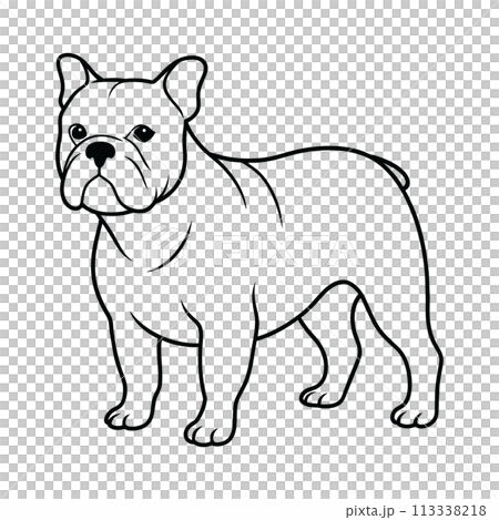 Bulldog Outline Png