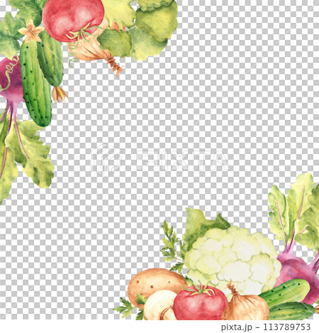 Vegetables square frame, border. Watercolor...のイラスト素材 [113789753] - PIXTA