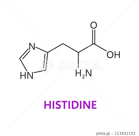 Amino acid chemical molecule of Histidine,...のイラスト素材 [113832155] - PIXTA