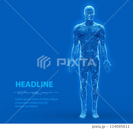 Human body. Abstract vector. Digital anatomy,...のイラスト素材 [114095611] - PIXTA