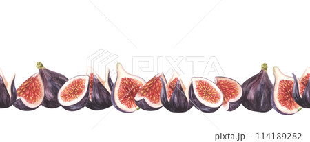 Fig seamless border. Halves, wholes, pieces of...のイラスト素材 [114189282 ...