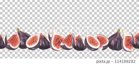 Fig seamless border. Halves, wholes, pieces of...のイラスト素材 [114189282 ...