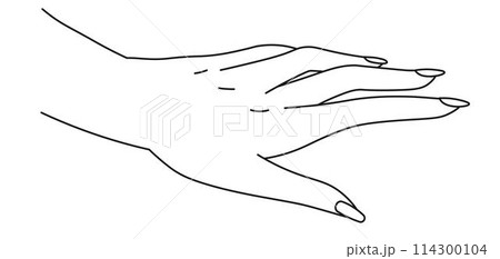 Hand design, female palm and manicured fingersのイラスト素材 [114300104] - PIXTA