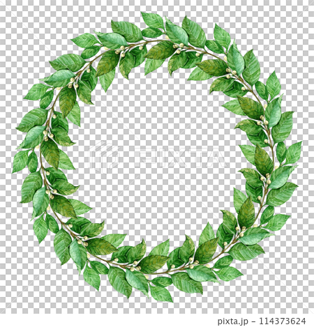 Laurel Leaves Clip Art Frame