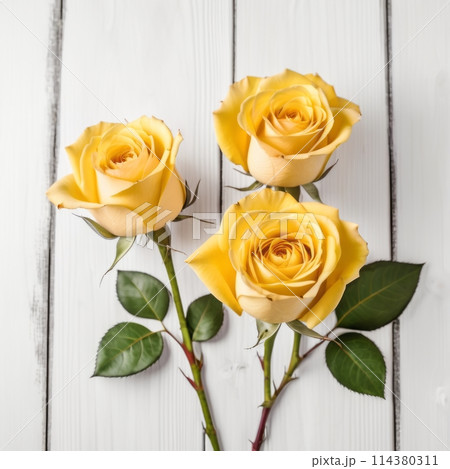 Three Yellow rose flowers over white wood...のイラスト素材 [114380311] - PIXTA