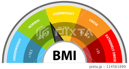 BMI Health Indicator Gaugeのイラスト素材 [114561899] - PIXTA