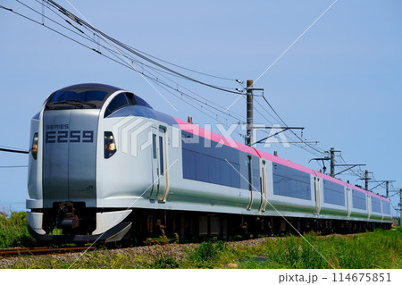 E259系で運転されるようになった特急しおさいの写真素材 [114675851] - PIXTA
