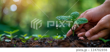 Hand Sprinkling Water on Plantのイラスト素材 [114702856] - PIXTA