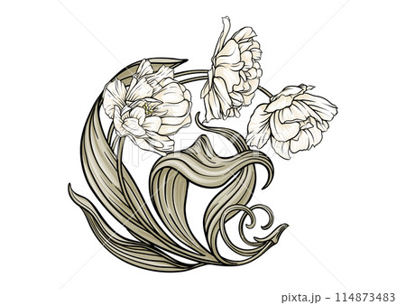 Terri Tulip flowers, decorative flowers and...のイラスト素材 [114873483] - PIXTA