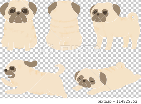 Illustration set of pugs in various poses - Stock Illustration ...