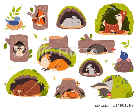 Animals in holes and burrows. Cartoon forest...のイラスト素材 [114991295] - PIXTA