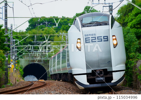 総武本線を走る特急しおさい（E259系）の写真素材 [115034996] - PIXTA