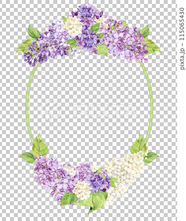 Oval frame with white and purple lilacs....のイラスト素材 [115065430] - PIXTA