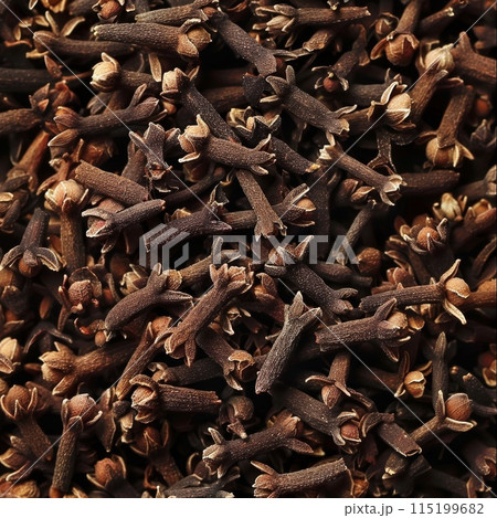 Dry spice cloves texture background, scattered...のイラスト素材 [115199682 ...