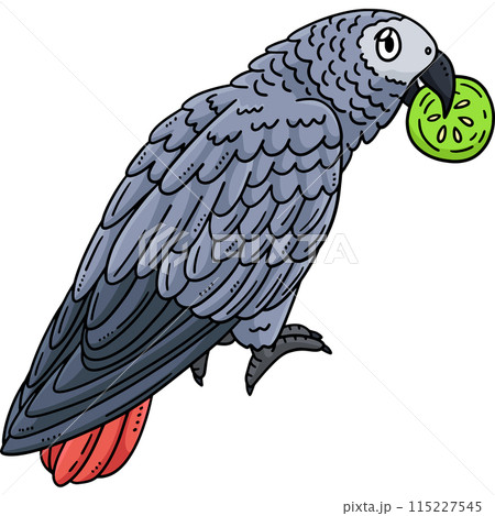 African Grey Parrot Bird Cartoon Colored Clipart のイラスト素材 [115227545 ...