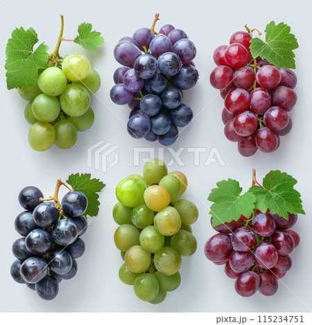 Variety of Fresh Grapes with Leavesのイラスト素材 [115234751] - PIXTA