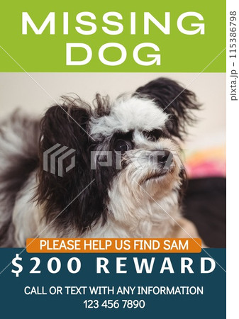 Composition of poster with missing dog text...の写真素材 [115386798] - PIXTA