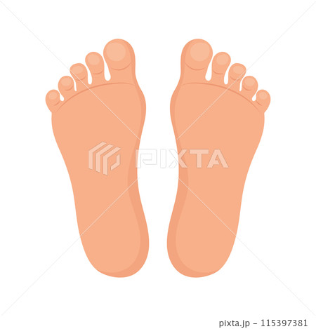 Human feet on a white background, anatomy of...のイラスト素材 [115397381] - PIXTA