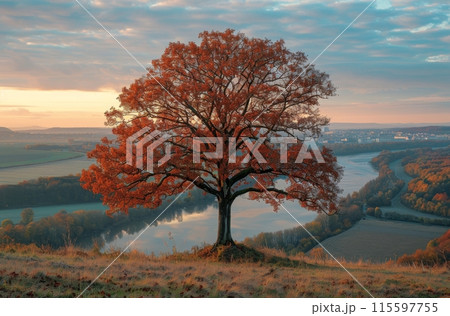 Large Autumn Tree Overlooking a River at Sunsetのイラスト素材 [115597755] - PIXTA