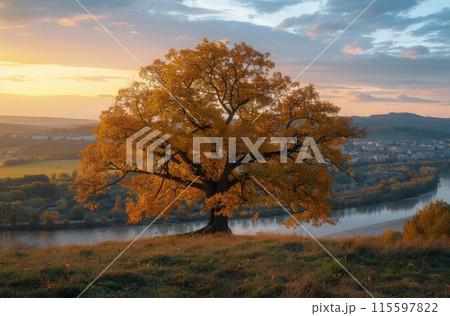 Large Autumn Tree Overlooking a River at Sunsetのイラスト素材 [115597822] - PIXTA