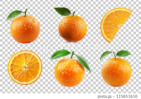 Orange Collection Bundle Set Isolated on a...のイラスト素材 [115651610] - PIXTA