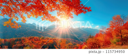 Autumn Majesty: Vibrant Maple Leaves in Golden...のイラスト素材 [115734950 ...