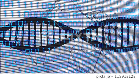Image of dna strand with binary coding data...のイラスト素材 [115918128] - PIXTA