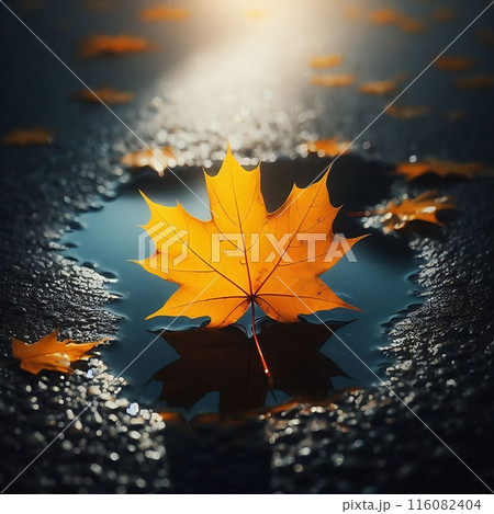 Sun-drenched autumn ambiance. A wet yellow...のイラスト素材 [116082404] - PIXTA