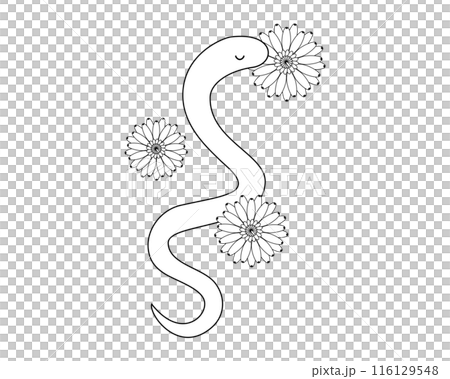 Simple line drawing illustration of a snake and... - Stock Illustration ...