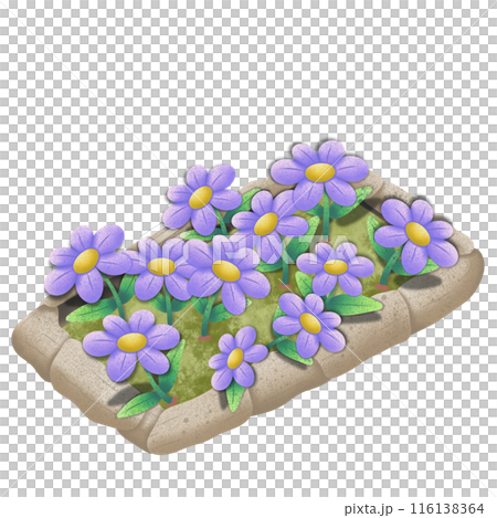 Purple flowers in plot のイラスト素材 [116138364] - PIXTA