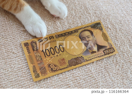 Japan Bank 10000 yen new banknote toy with cat...の写真素材 [116166364] - PIXTA