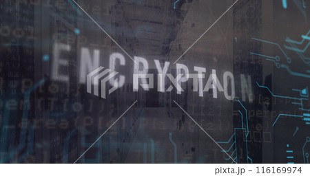 Image of encryption text and computer language...のイラスト素材 [116169974 ...