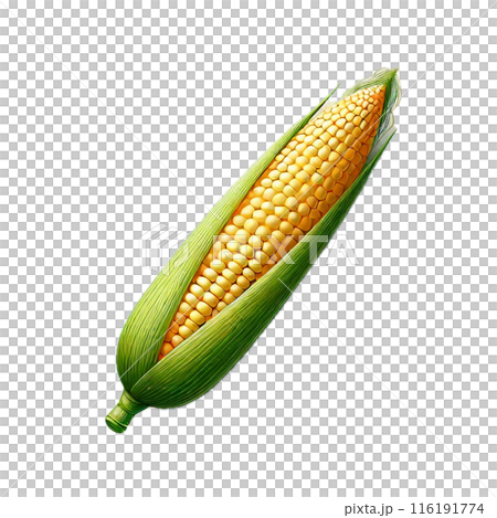 Corn without background - Stock Illustration [116191774] - PIXTA