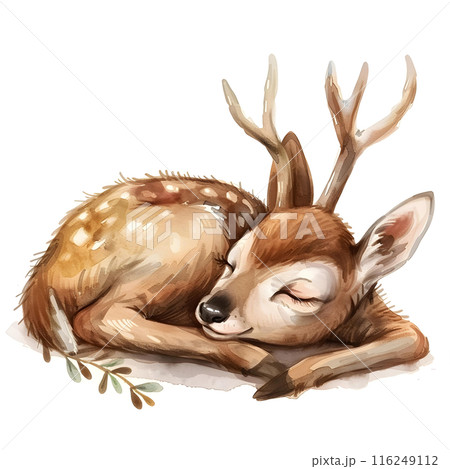 a cute fawn lying on a white background. a...のイラスト素材 [116249112] - PIXTA