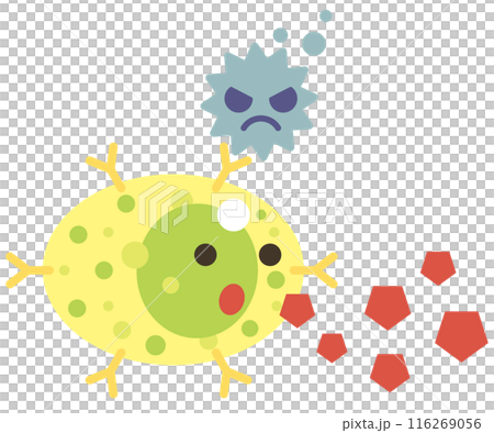 Histamine-releasing mast cells - Stock Illustration [116269056] - PIXTA