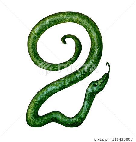 Number two in the form of a green snake as a...のイラスト素材 [116430809] - PIXTA