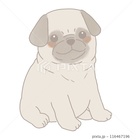 Chibi Drawings Pug