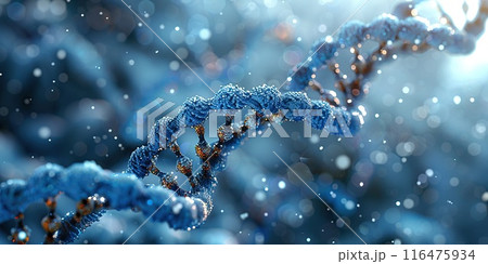 Human DNA structure double helix. Created with...のイラスト素材 [116475934 ...