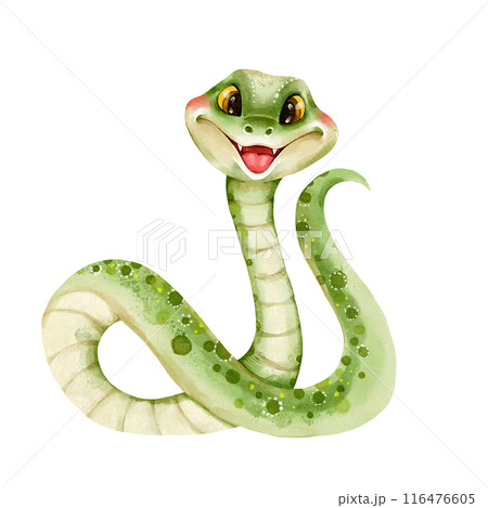 Cute green snake illustration, isolated on whiteのイラスト素材 [116476605] - PIXTA