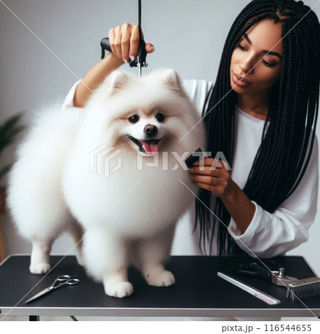 Professional Dog Groomer specializing in Fluffy...のイラスト素材 [116544655] - PIXTA
