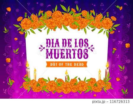 Marigold flowers frame, dead day dia de los...のイラスト素材 [116726313] - PIXTA