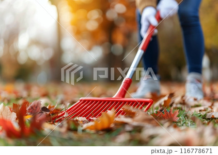 Person Raking Leaves in Autumnのイラスト素材 [116778671] - PIXTA