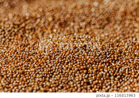 Amaranth grain background. Gluten free seeds of...のイラスト素材 [116813963 ...