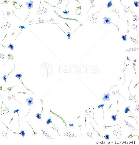 Watercolor blue cornflowers and wildflowers...のイラスト素材 [117045041] - PIXTA