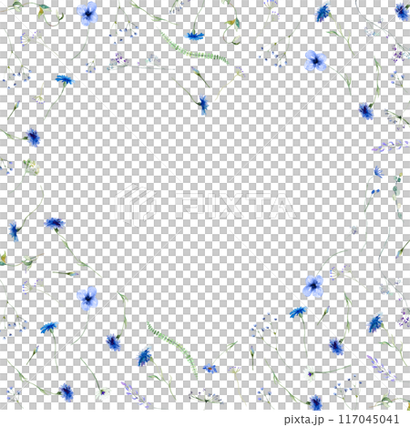 Watercolor blue cornflowers and wildflowers...のイラスト素材 [117045041] - PIXTA