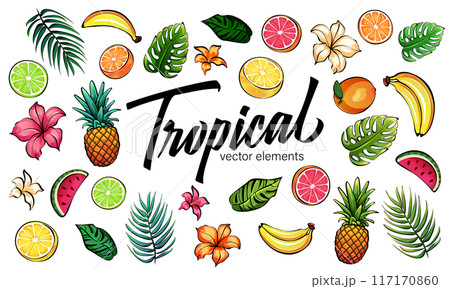 Tropical elements vector set, hand drawn...のイラスト素材 [117170860] - PIXTA