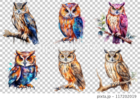Six Colorful Watercolor Owls Perched on Branchesのイラスト素材 [117202019] - PIXTA