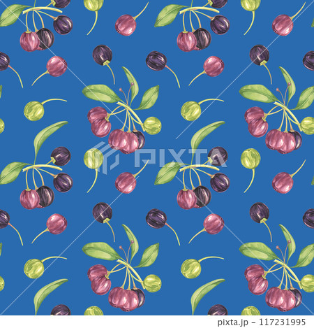 Maqui berry, purple pink fruit seamless pattern...のイラスト素材 [117231995 ...